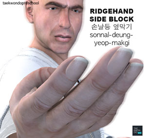 Ridgehand Side Block ( 손날등 옆막기 sonnal-deung-yeop-makgi ) | Blocks ( 막기 ...